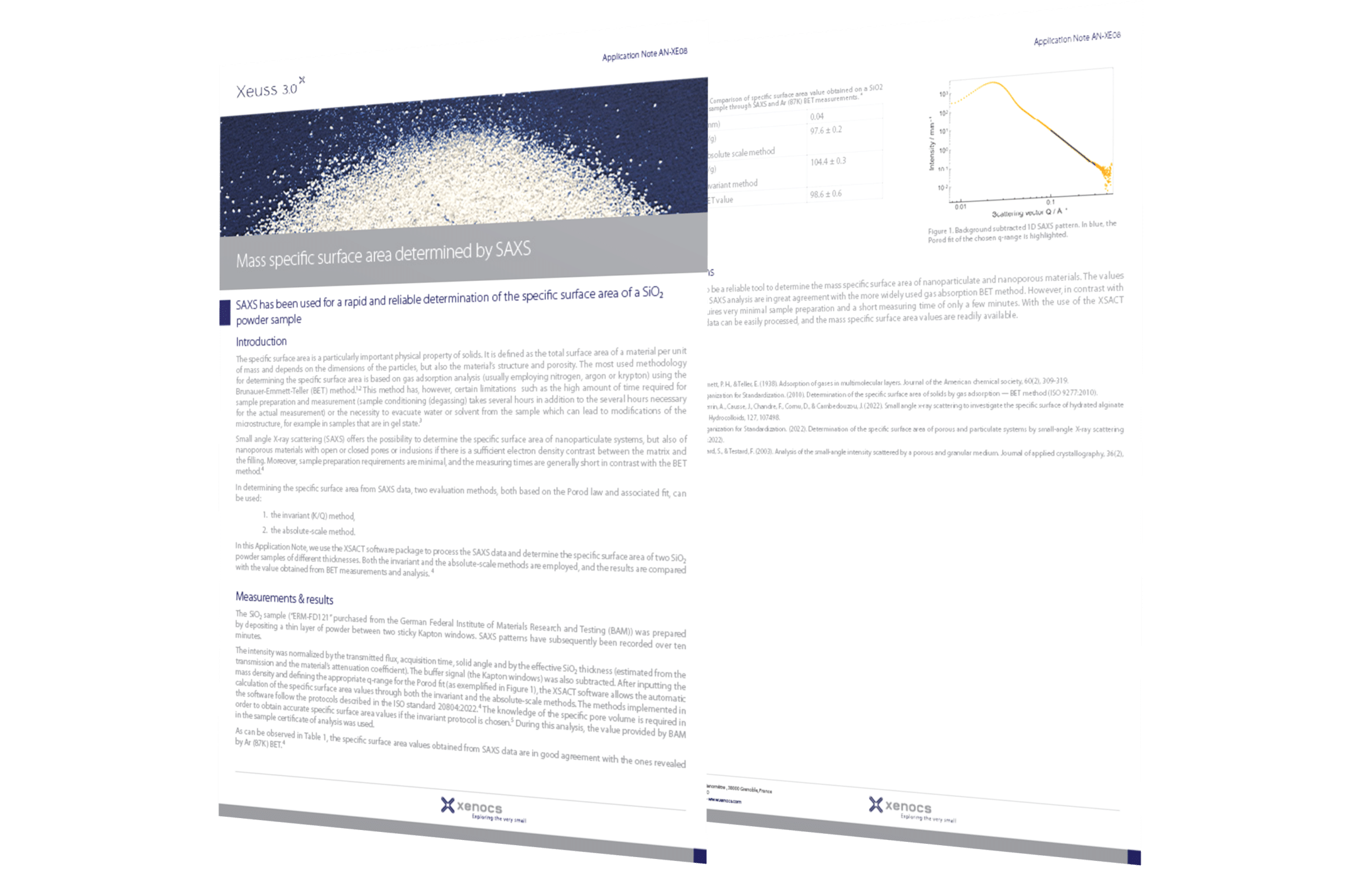 Specific Surface Area Determined by SAXS