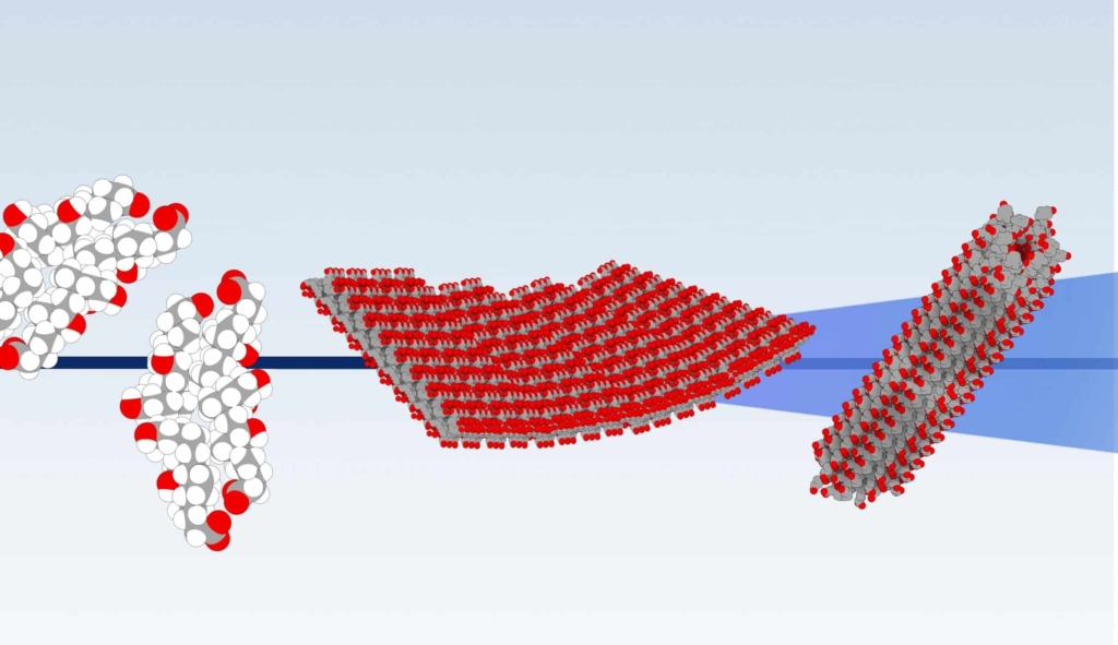 Self Assembly Behaviours in Aqueous Solutions Studied by SAXS